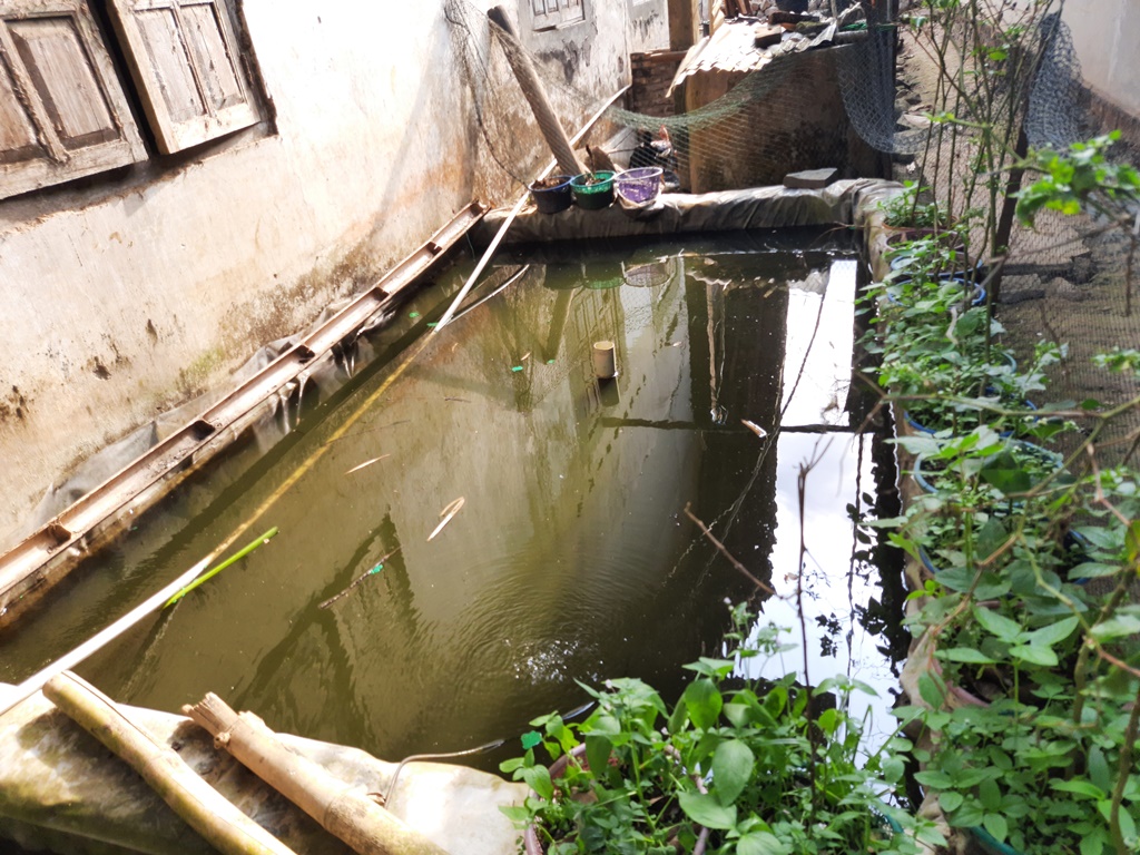 Blumbang - Eksotika Desa