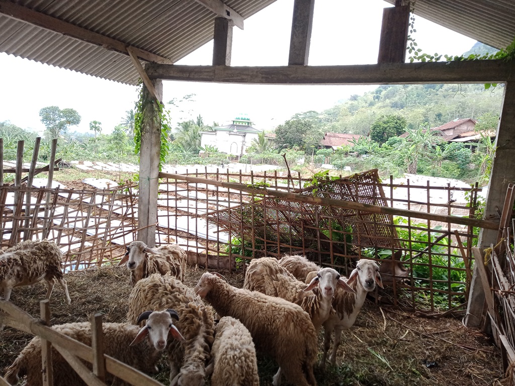 Kandang - Eksotika Desa