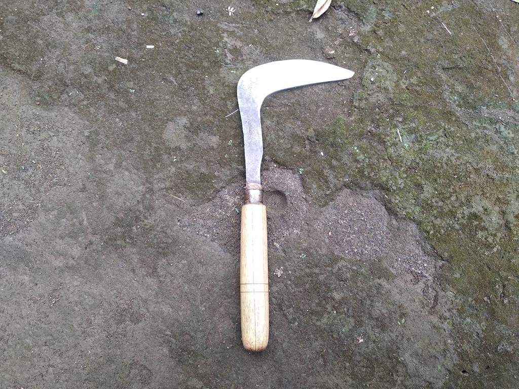 Arit - Eksotika Desa