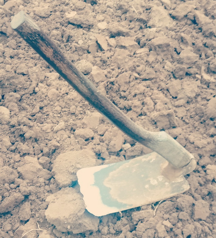 Pacul - Eksotika Desa